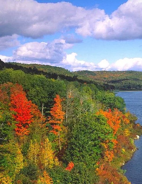 New England Day Trips from Boston - New England Day Trips from Boston
